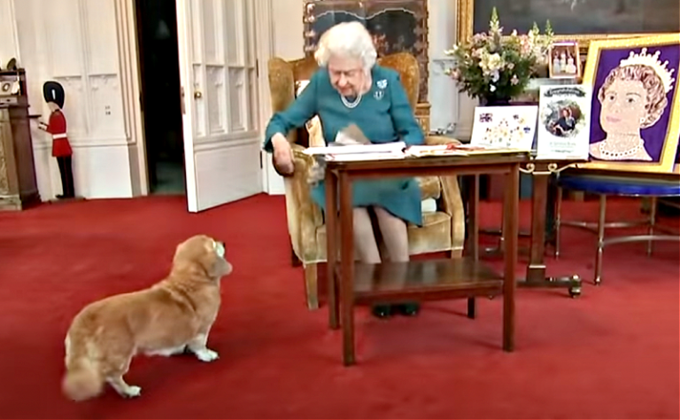 Queen Elizabeth II's Death Sparks Concern For Her Dogs: What Happens To ...