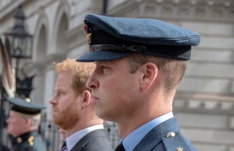 Royal Family News: Harry and William Reunited By Diana Years After Her ...