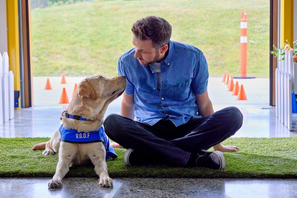 Sarah Drew And Antonio Cupo In Guiding Emily On Hallmark Movies And ...