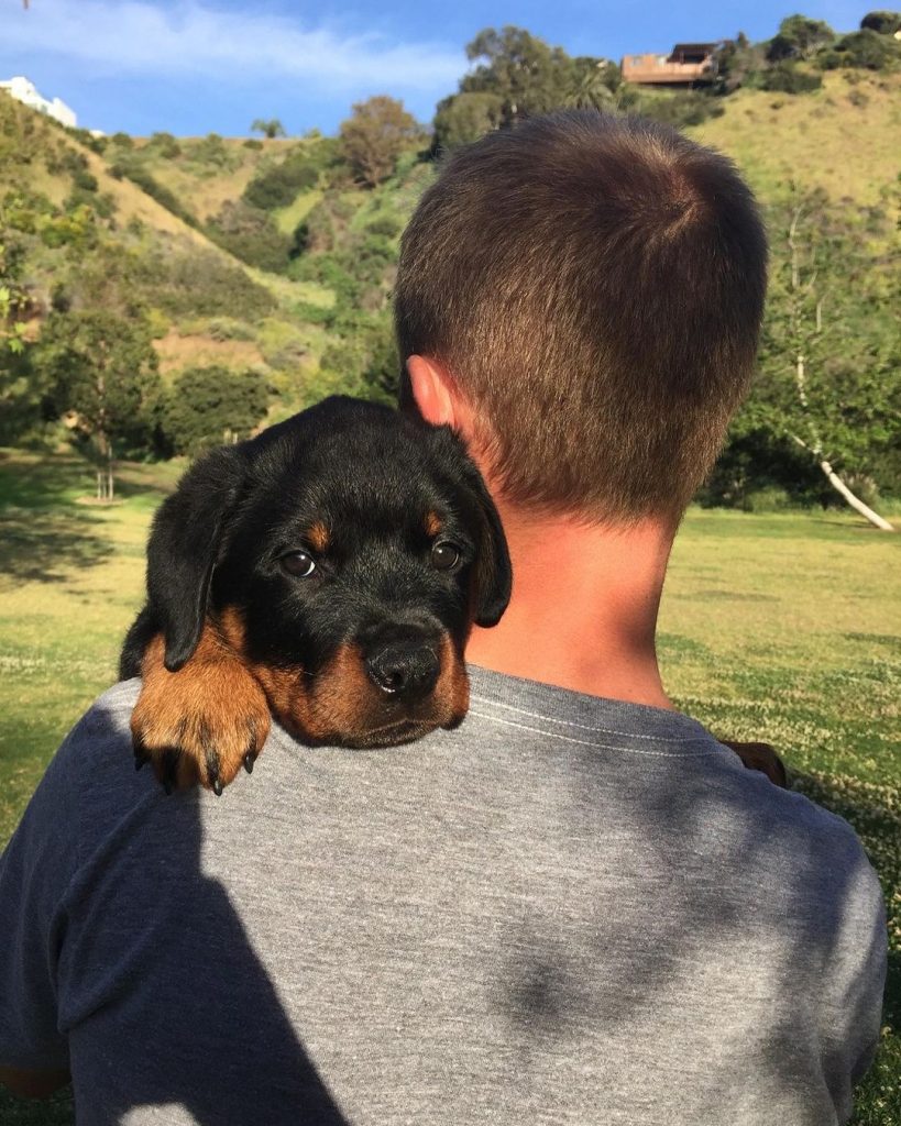 Great American Family’s Candace Cameron Bure On Passing Of Family Dog Boris